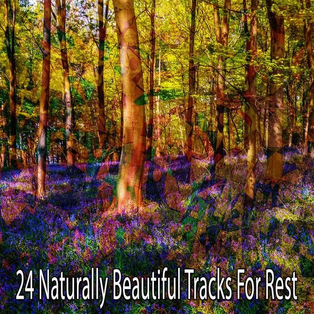 24 Naturally Beautiful Tracks For Rest - Album by Rest & Relax Nature ...