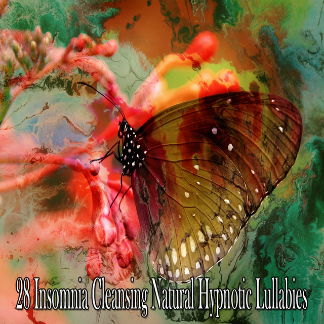 28 Insomnia Cleansing Natural Hypnotic Lullabies - Album by Animal and ...