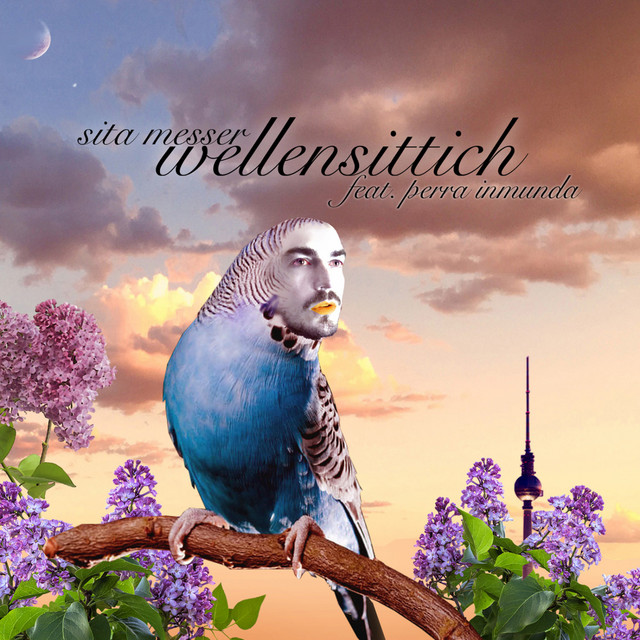 Wellensittich - song and lyrics by Sita Messer, Perra Inmunda | Spotify