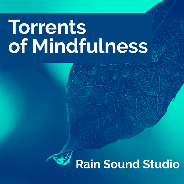 Torrents of Mindfulness - Album by Rain Sound Studio | Spotify