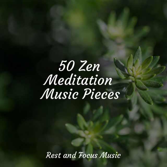 50 Zen Meditation Music Pieces - Album by Sleep Waves | Spotify