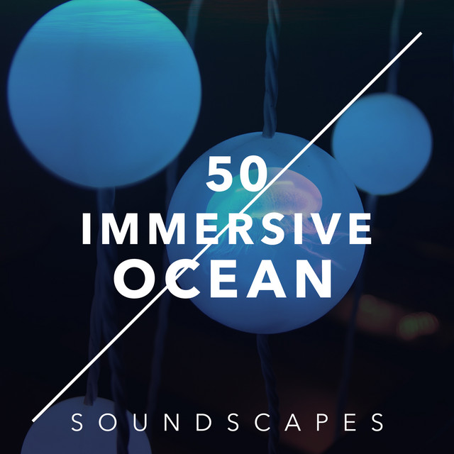 50 Immersive Ocean Soundscapes - Album by Beach Sounds | Spotify