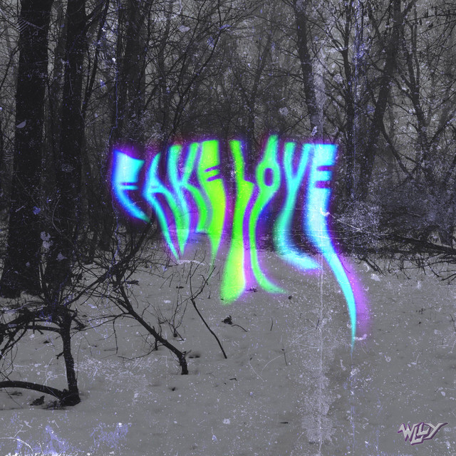Fake Love (Real Drugs) - Single by WLLY | Spotify