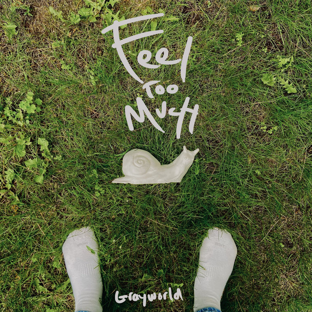 Feel Too Much - Single by GrayWorld | Spotify