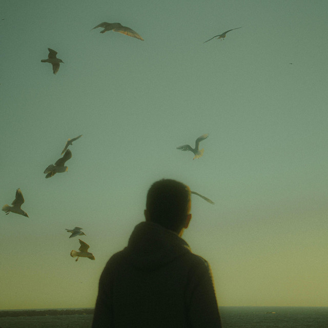 Seagulls - Single by nothing less | Spotify