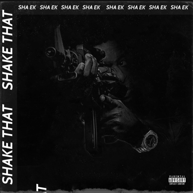 Shake That - Single by Sha EK | Spotify