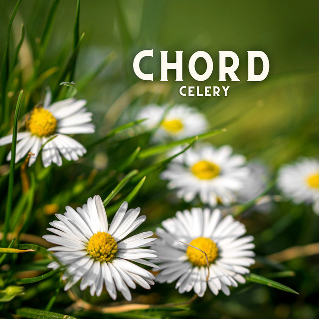 Chord - Album by Celery | Spotify
