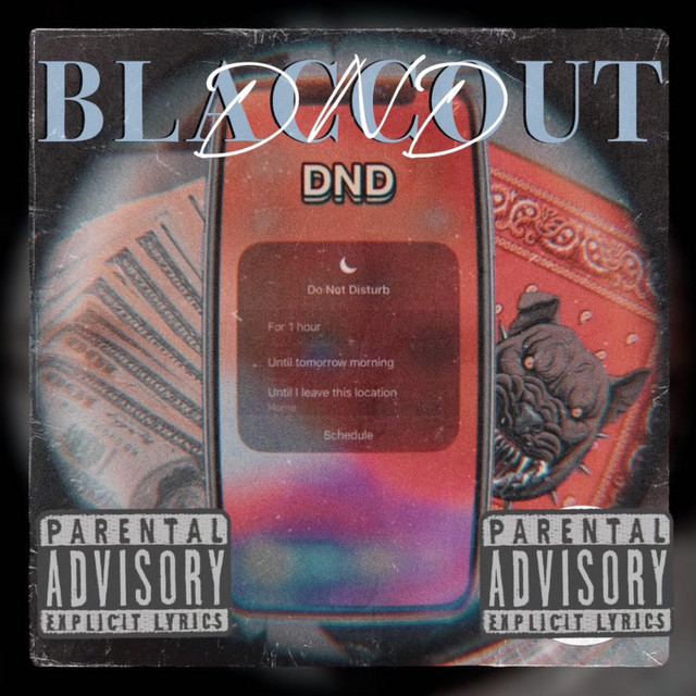 BlaccOut | Spotify