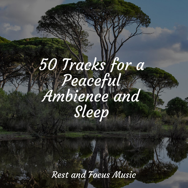 50 Tracks for a Peaceful Ambience and Sleep - Album by Meditative Music ...