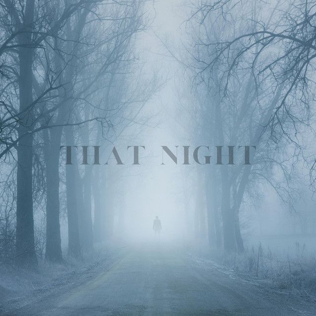 That Night - song and lyrics by Davilyn's Piano | Spotify
