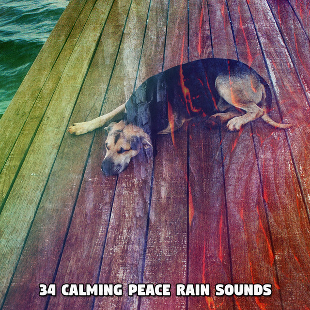 34 Calming Peace Rain Sounds - Album by ASMR Rain Sounds | Spotify