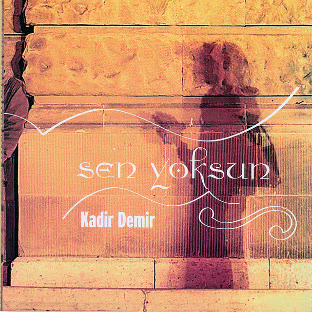 Sen Yoksun - Album by Kadir Demir | Spotify