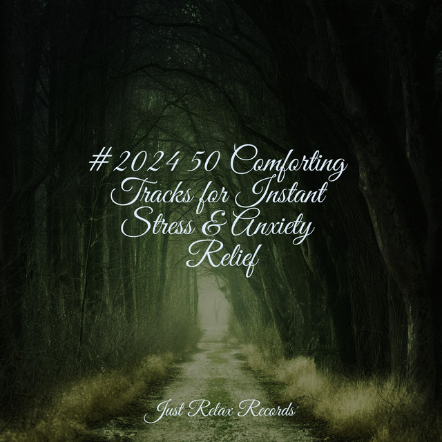 #2024 50 Comforting Tracks for Instant Stress & Anxiety Relief - Album ...