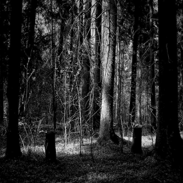 running from the past but I'm still looking back. - song and lyrics by ...