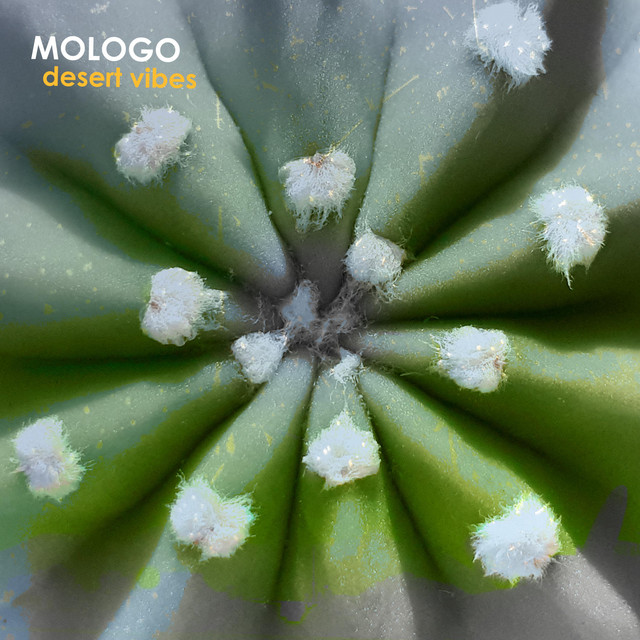 Desert Vibes - Single by Mologo | Spotify