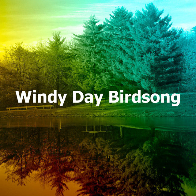 Windy Day Birdsong - Album by Música de la Naturaleza | Spotify