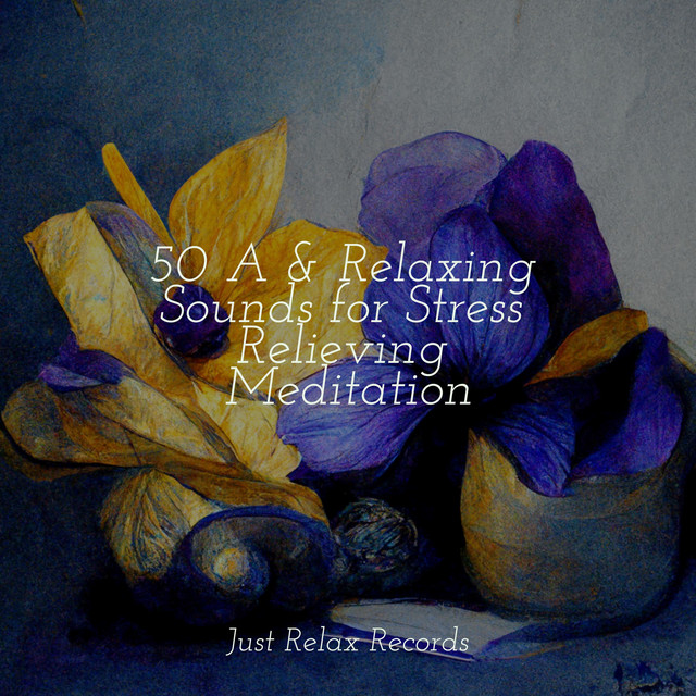 50 A & Relaxing Sounds for Stress Relieving Meditation - Album by ...