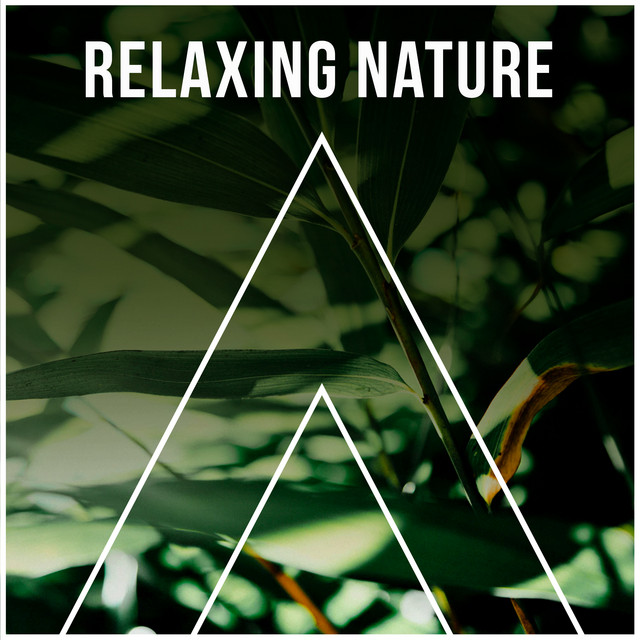 Windy Jungle - song and lyrics by Música de la Naturaleza | Spotify
