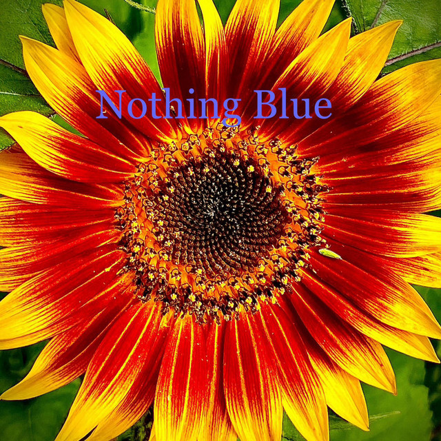 Nothing Blue | Spotify