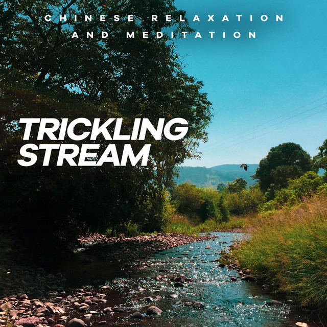 Trickling Stream - Album by Chinese Relaxation and Meditation | Spotify