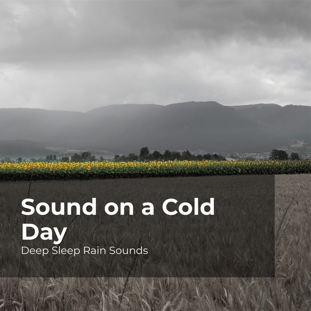 Sound on a Cold Day - Album by Deep Sleep Rain Sounds | Spotify