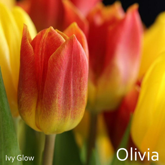 Olivia - Single by Ivy Glow | Spotify