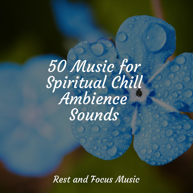 50 Music for Spiritual Chill Ambience Sounds - Album by Relaxing Spa ...