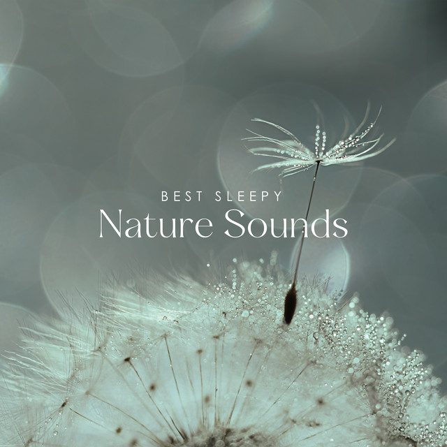 Best Sleepy Nature Sounds: Bedtime Calmness, Relaxing Sleep Music ...
