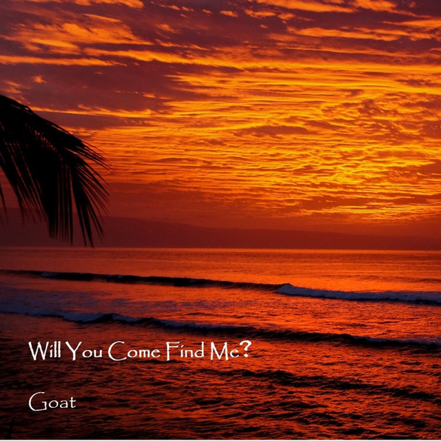 Will You Come Find Me - song and lyrics by Goat | Spotify