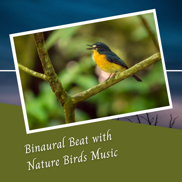Binaural Beat with Nature Birds Music - Album by Nature Hiker | Spotify