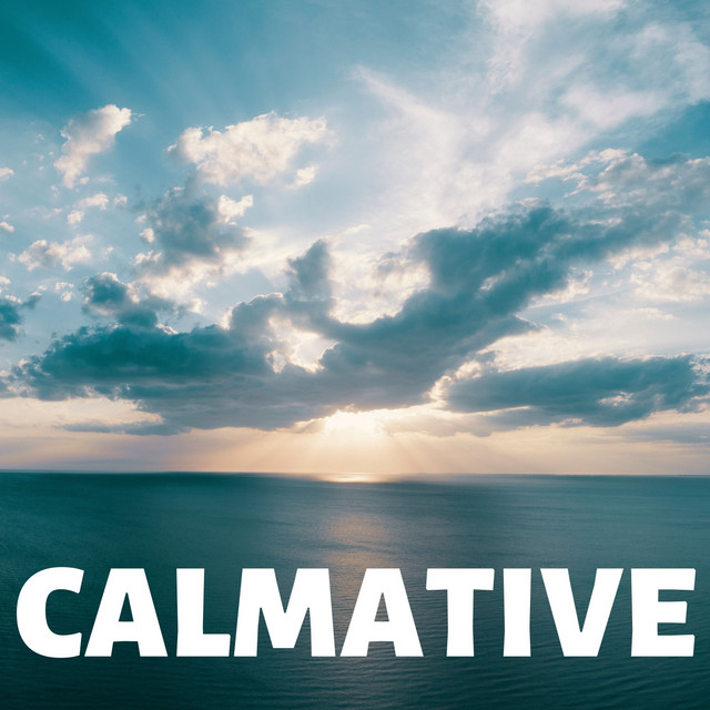 Calmative - Single by Andrew Wilson | Spotify