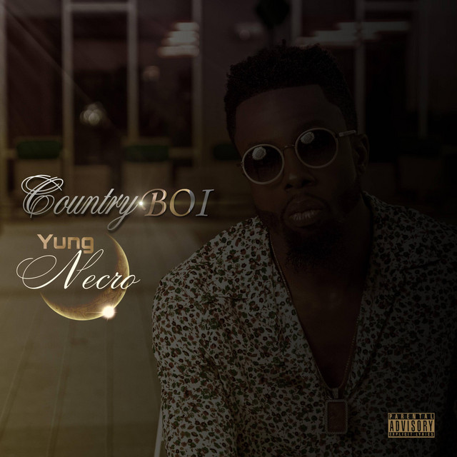 Country BOI - Single by Yung Necro Music | Spotify
