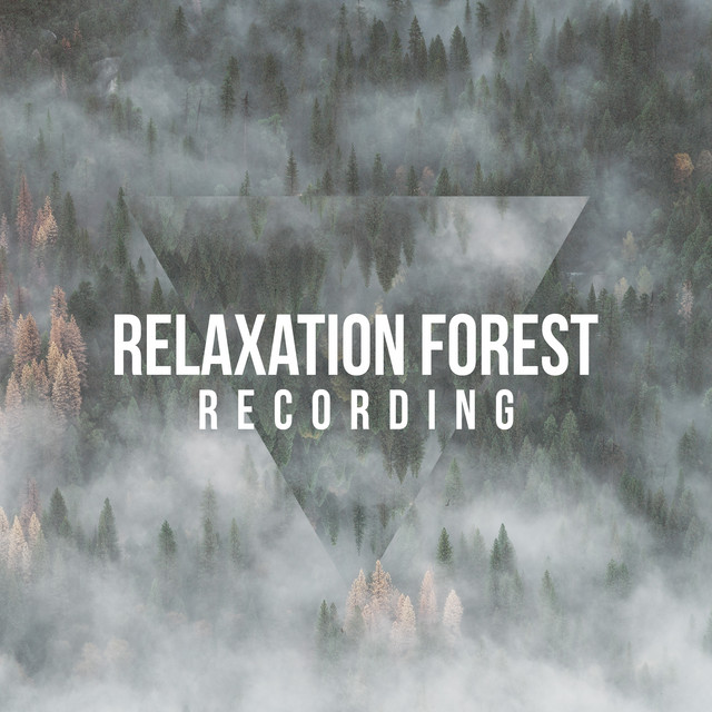 Relaxation Forest Recording - Album by Forest Sounds | Spotify