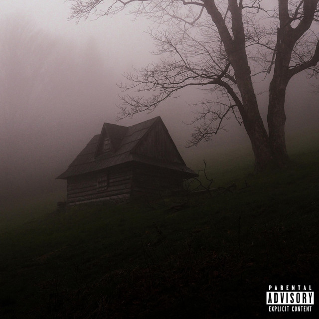 No One Home - Single by Double Lyrical | Spotify