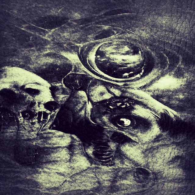 Warning Kill - Single by Dkoolpharaoh | Spotify