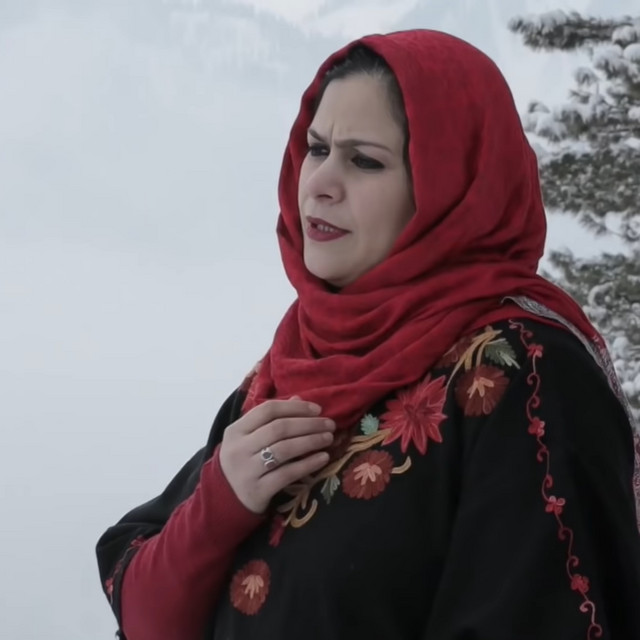 Shazia Hamid | Spotify