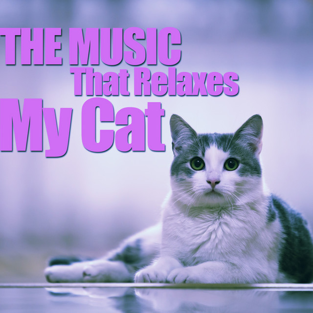 The Music That Relaxes My Cat Compilation By Various Artists Spotify