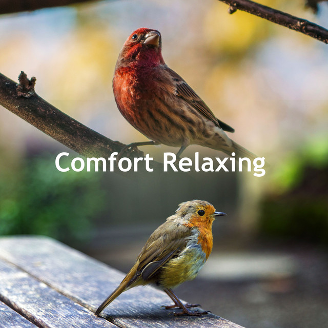 Comfort Relaxing - Album by Comfort Sounds | Spotify