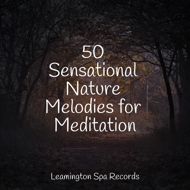 50 Sensational Nature Melodies for Meditation - Album by The Relaxation ...