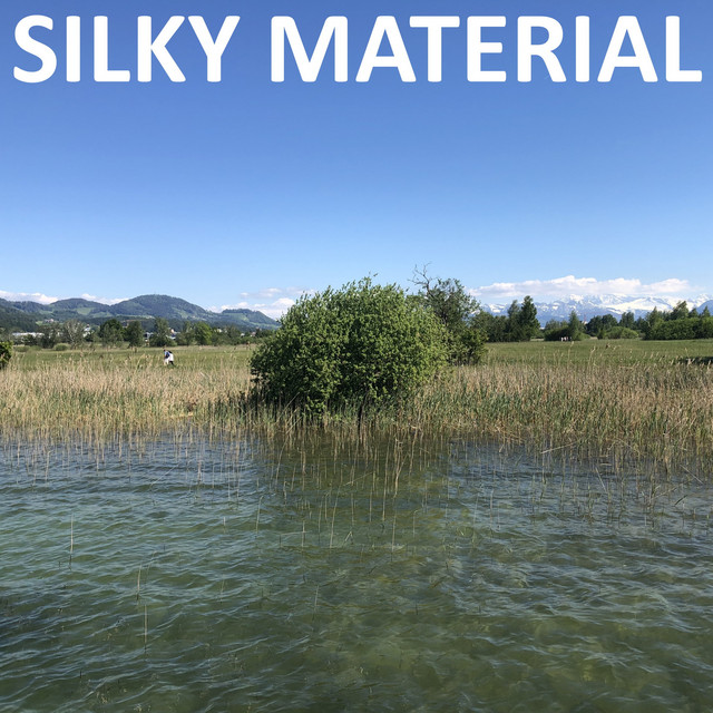 Silky Material - Compilation by Various Artists | Spotify