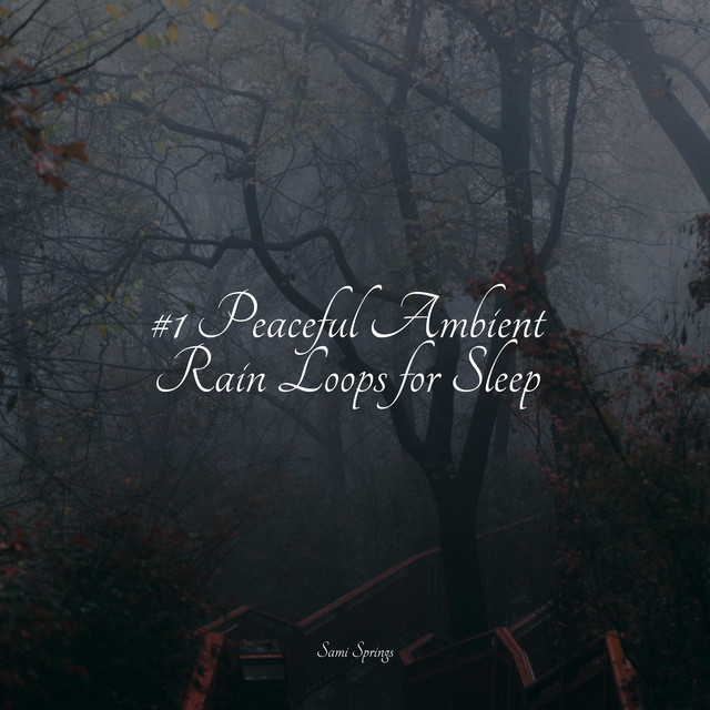 #1 Peaceful Ambient Rain Loops for Sleep - Album by White Noise for ...