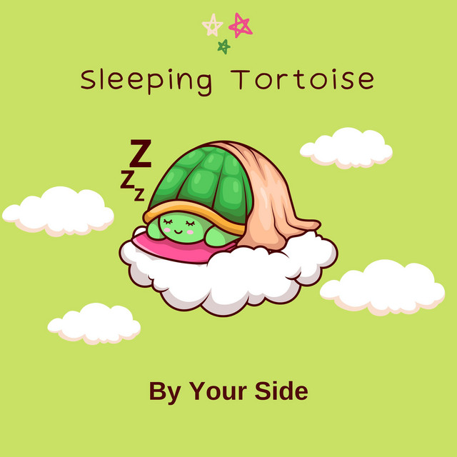 By Your Side - Single by Sleeping Tortoise | Spotify