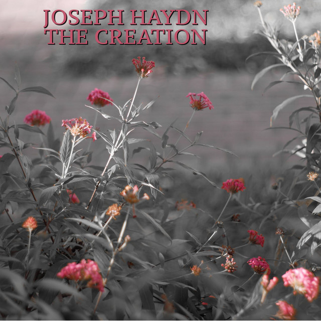 Jospeh Haydn: The Creation - Album by Joseph Haydn | Spotify
