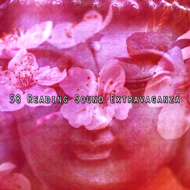 58 Reading Sound Extravaganza - Album by Brain Study Music Guys | Spotify