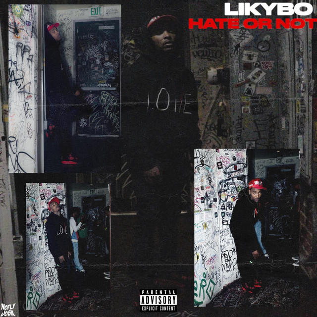 Hate Or Not - Single by Likybo | Spotify