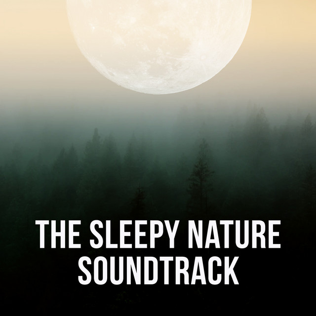 The Sleepy Nature Soundtrack ! ! ! ! - Album by Deep Sleep Nature ...