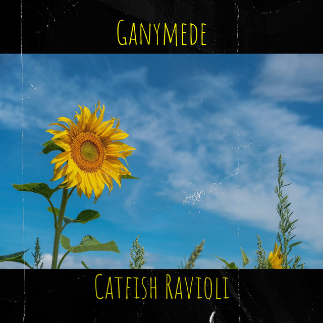 Ganymede - song and lyrics by Catfish Ravioli | Spotify
