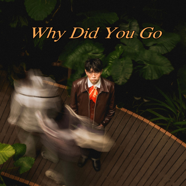 Why Did You Go (Feat. di:te) - Single by youyong | Spotify