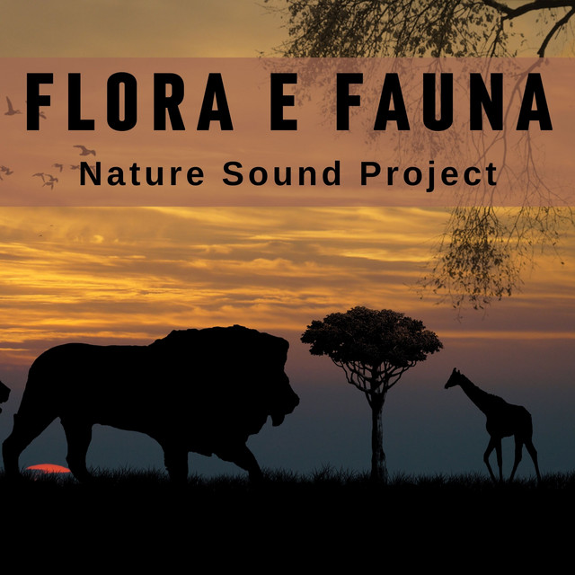 Flora E Fauna - Album by Nature Sound Project | Spotify