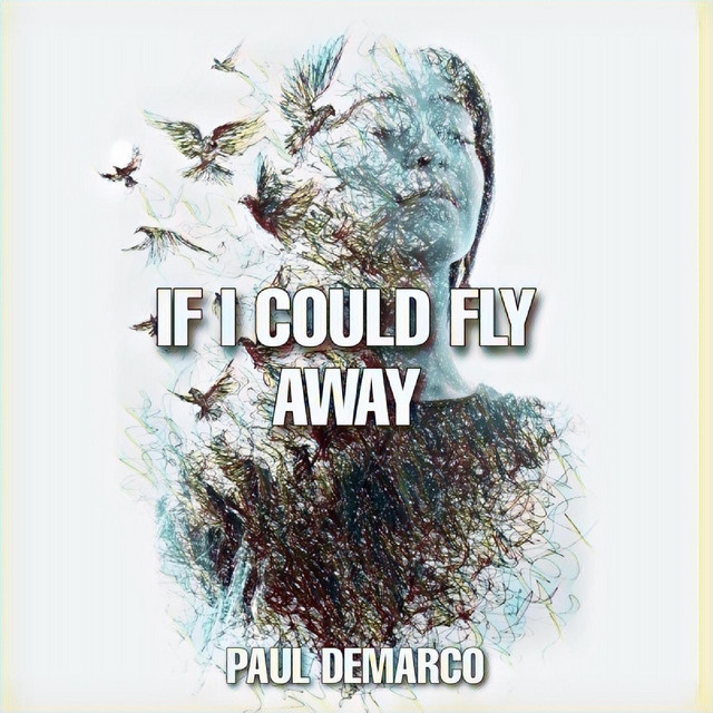 If I Could Fly Away - Single by Paul Demarco | Spotify